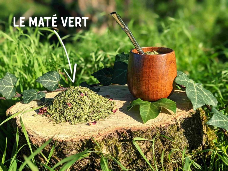 Les 3 types de yerba maté – Mi Maté
